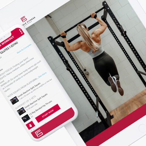 Online Training Renewal (for current clients) | Female Fitness Systems