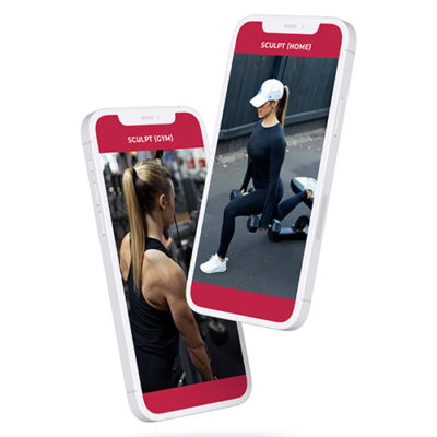 Online Training Renewal | Female Fitness Systems